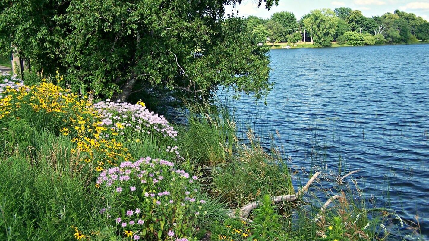 Stormwater & Wastewater Services | Seattle, WA | AQUALIS